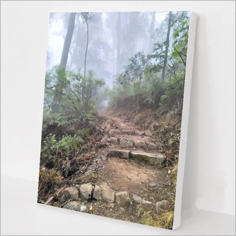 Mystery Path kit – Paint Plot